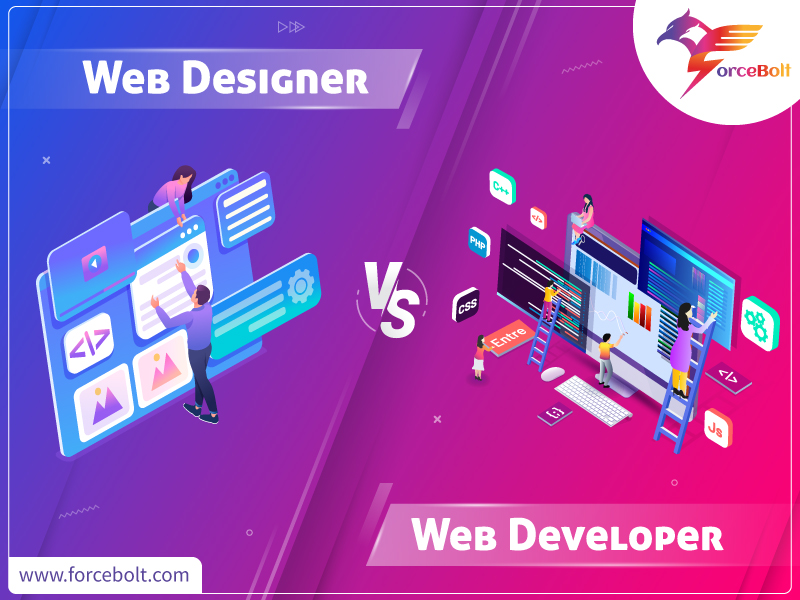 Web Designer VS Web Developer - ForceBolt